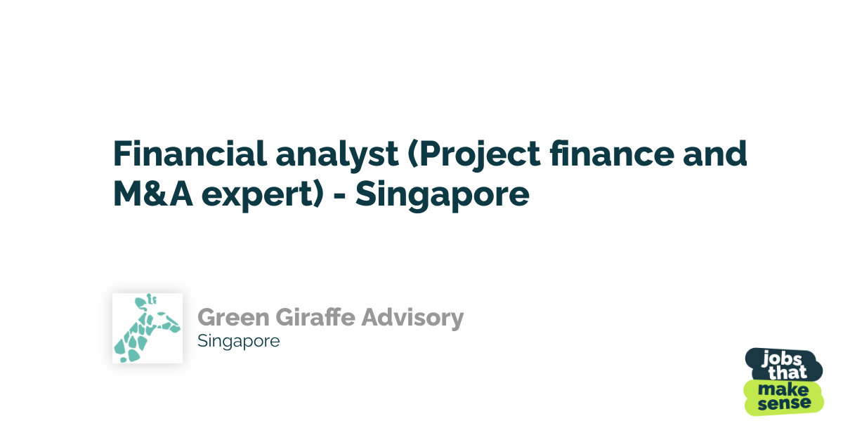 Financial analyst (Project finance and M&A expert) - Singapore ...