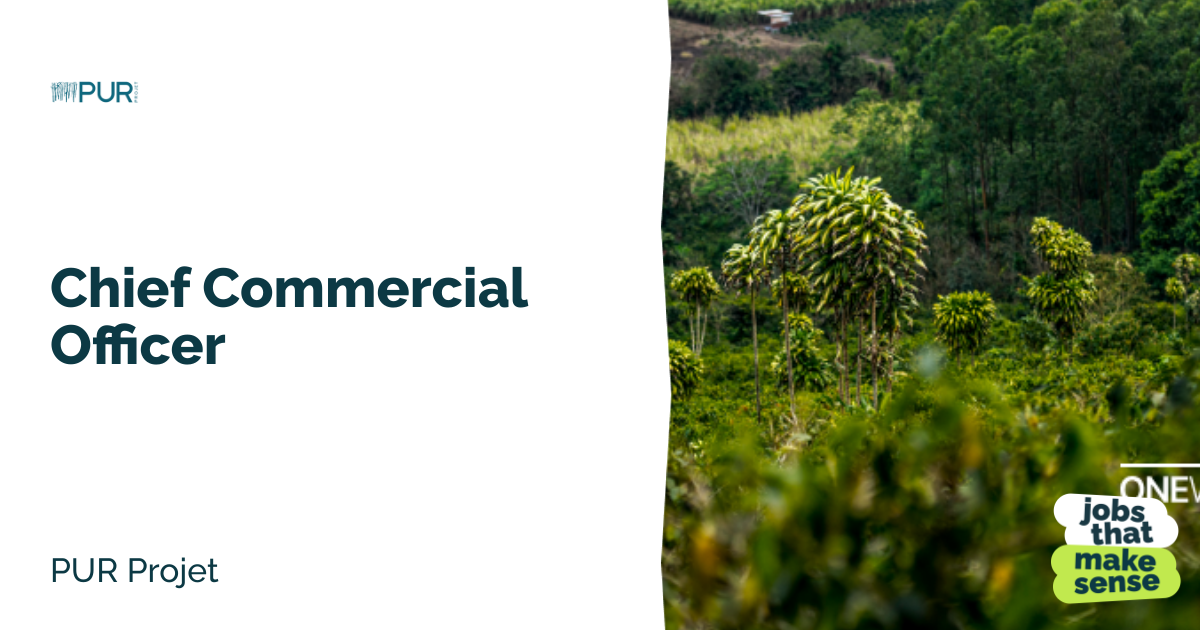 Chief Commercial Officer - Paris - PUR - 17/05/2024 - Jobs that makesense