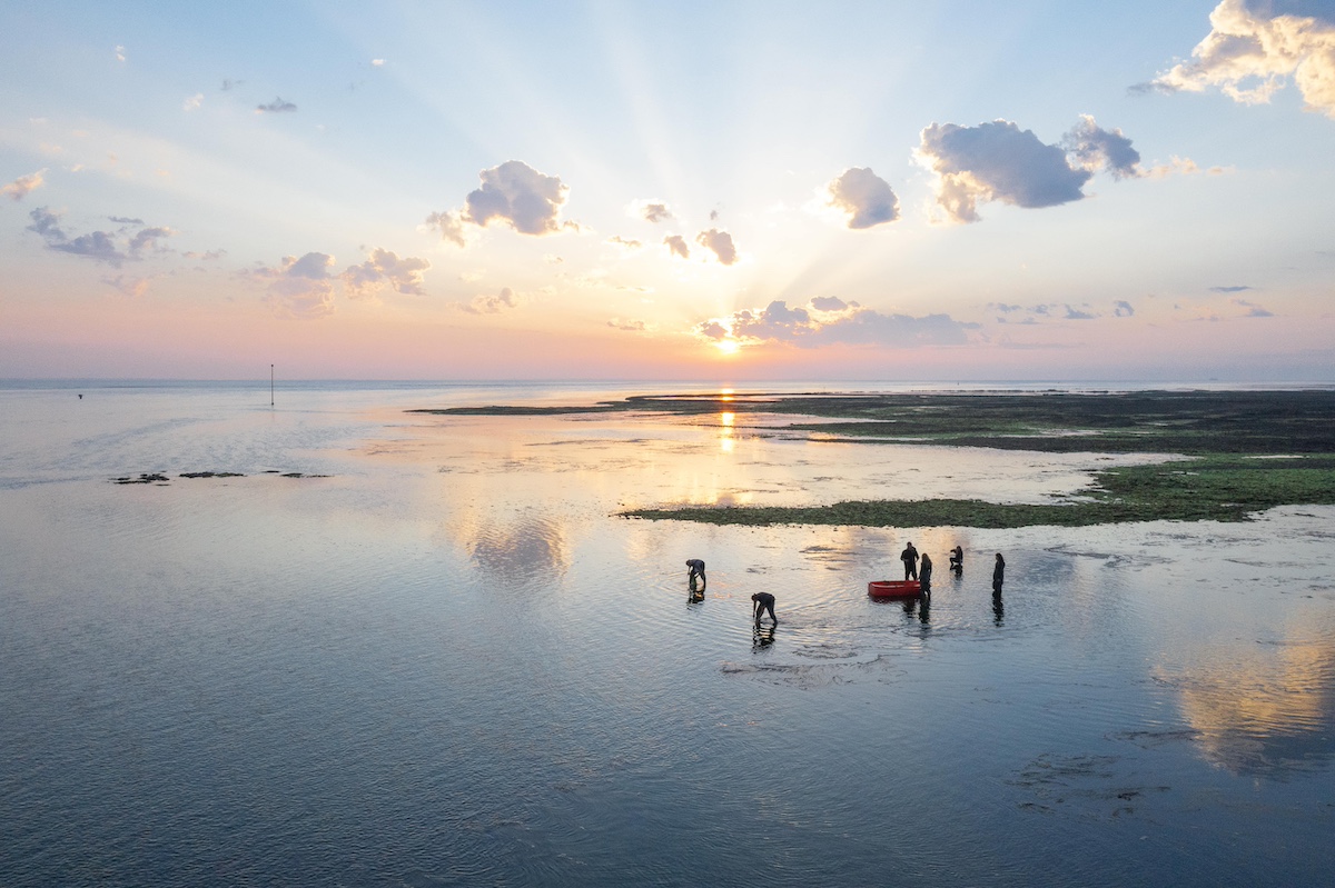 Blutopia recrutement - Offres d'emploi et stages