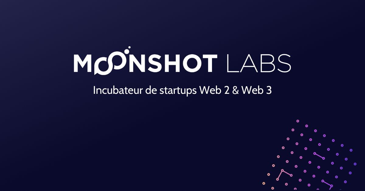 Moonshot Labs recruitement - Job offer, internship and volunteering